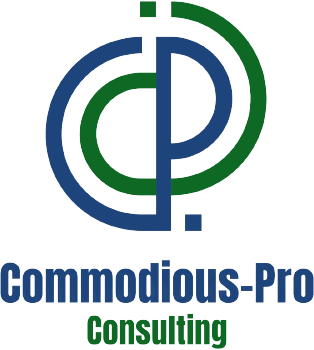 Business Administration Consulting Services